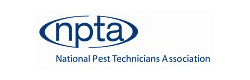 bed bugs infestations-pest control services-Wisbech-March-Chatteris-Ely ...